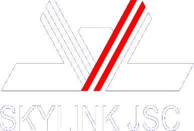 Skylink Joint Stock Company